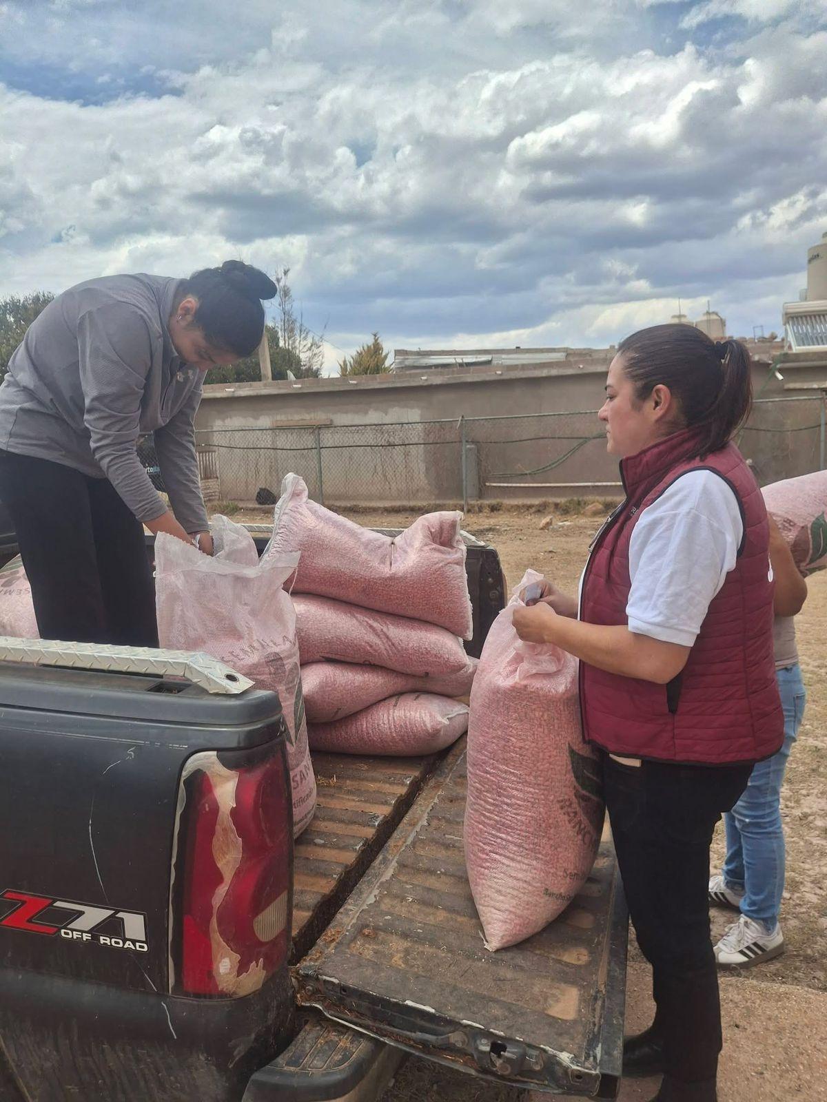 Abre Agricultura ventanillas para compra subsidiada de semilla de ...
